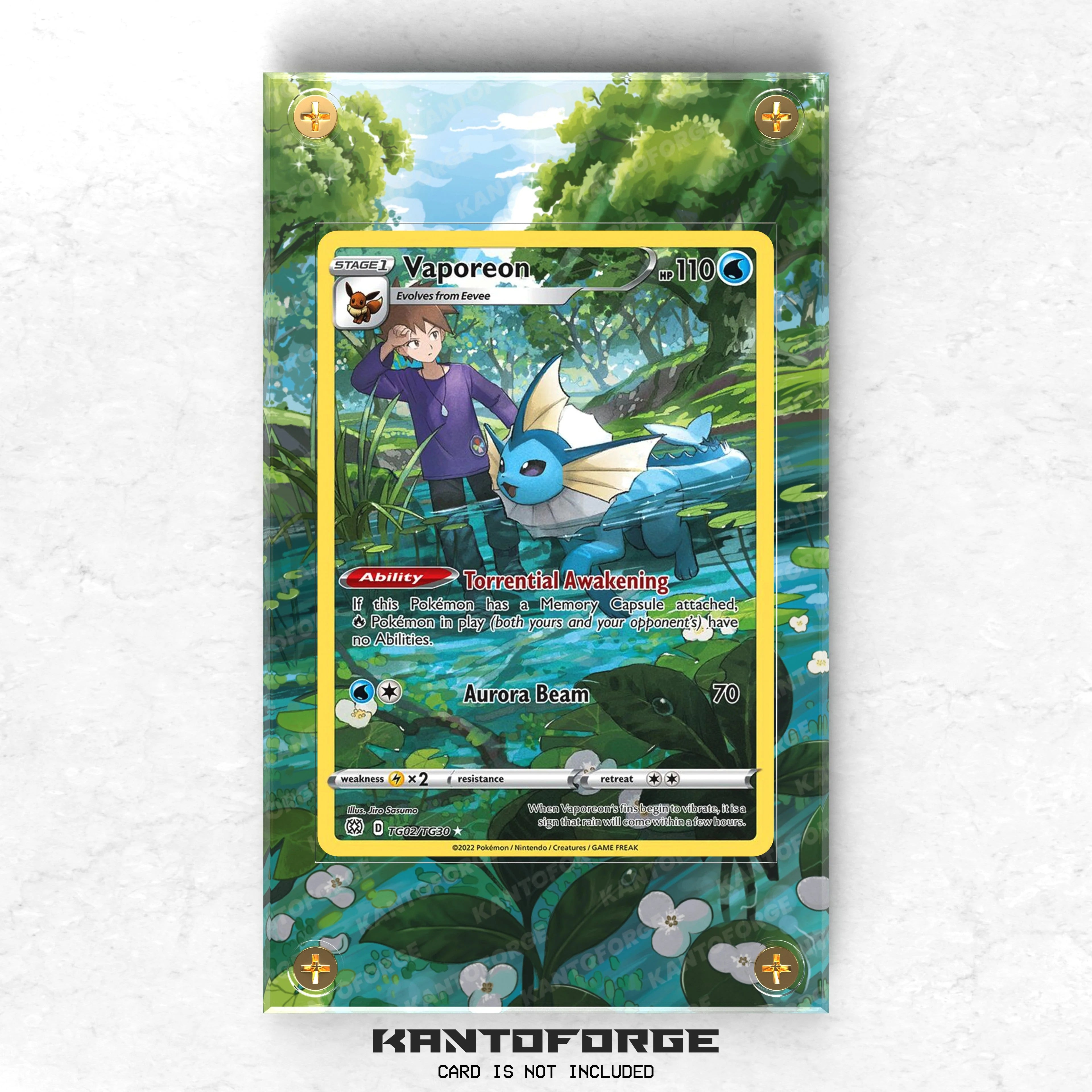 Vaporeon TG02/TG30 - Pokémon Extended Artwork Display Case – PokeRangers